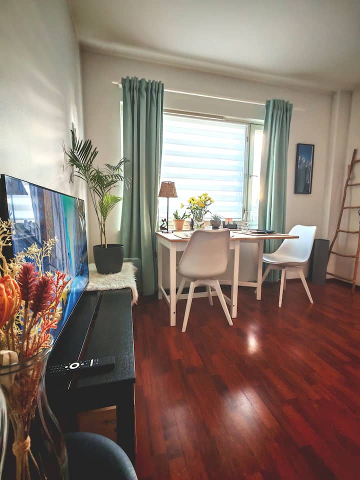 Cozy Home In Hearth Of Helsinki - Helsinki