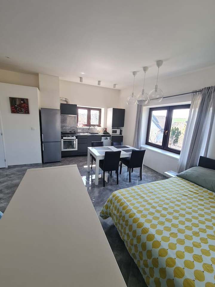 Spacious Studio With A Private Entrance, Kitchen - Prague Václav Havel Airport (PRG)