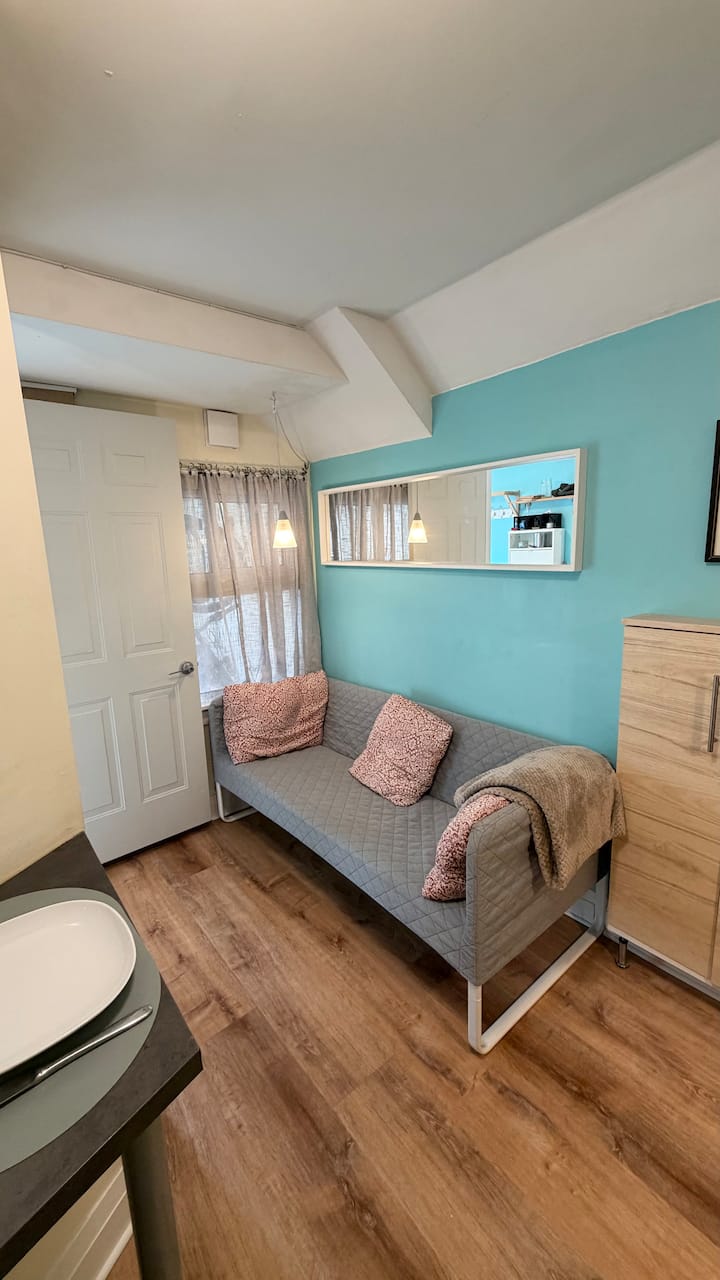 Charming  Roncesvalles/high Park  Basement Suite - Toronto