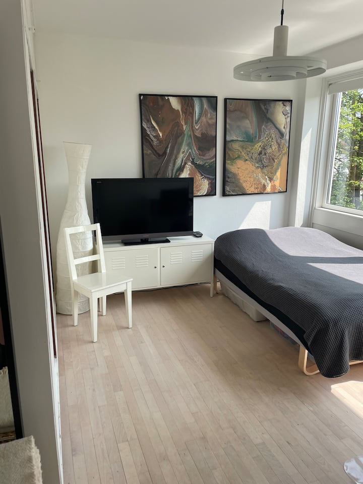 Lyst, Stort Værelse I Privat Bolig. - Copenhague