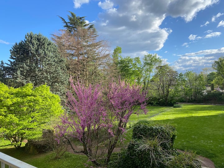 Appartement Lumineux Dans Un éCrin De Verdure - Écully