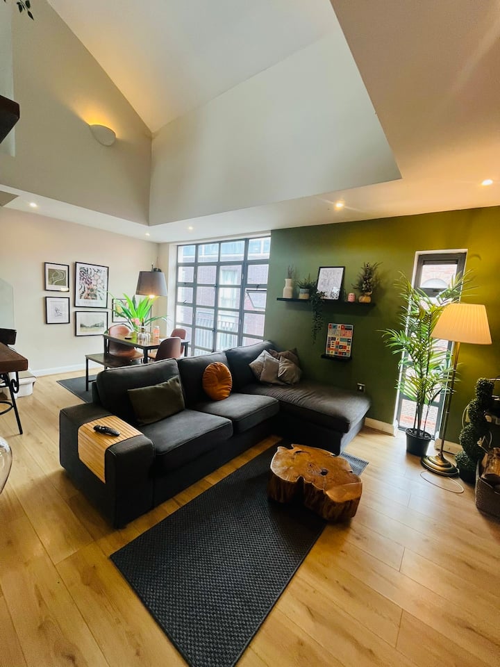 The Friary Temple Bar Penthouse Loft W/roof Garden - Dublin
