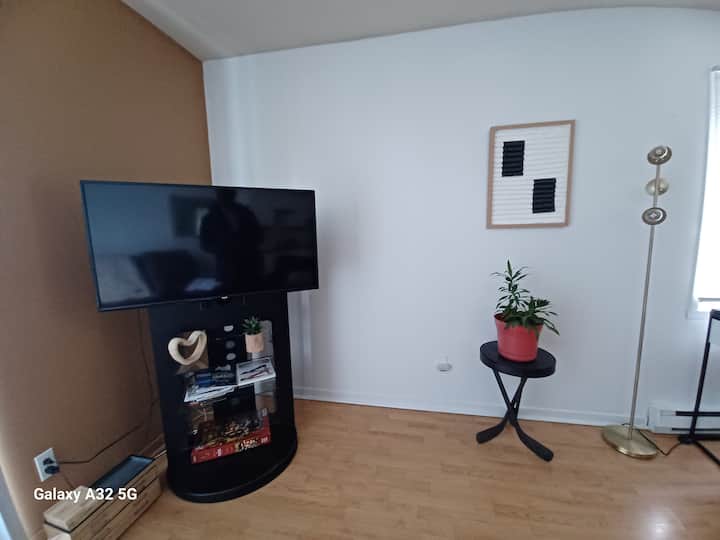 L'accueillant Appartement Entier - Terrebonne