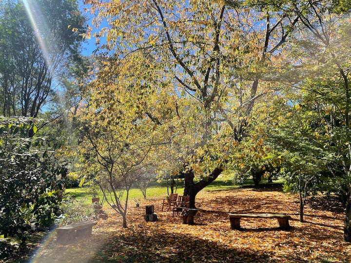 Treetops Chalet - Blue Mountains