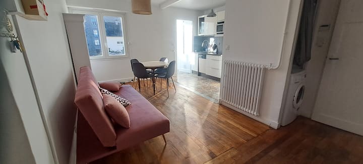 T2/3 Meublé En Centre Ville Avec Garage - Rennes