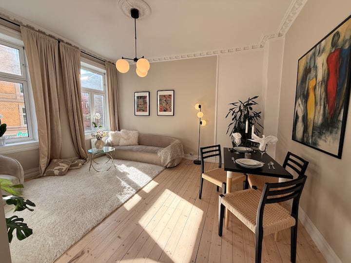 Lovely Central Apartment With To Large Bedrooms - Oslo Central Station