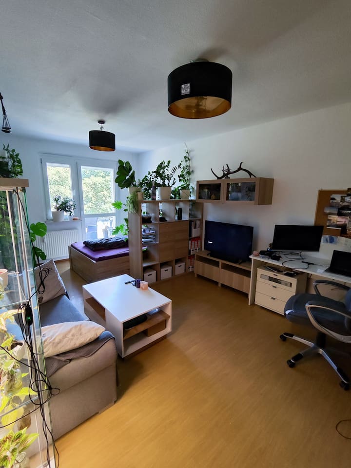 Grün Und Gemütlich Im Zentrum - Jena