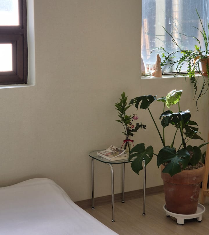 [머뭄] 30평/ 방3/ 독채/ 교동2분/ 동성로5분/ 중앙로역10분/넓고 깔끔(정식허가) - Daegu