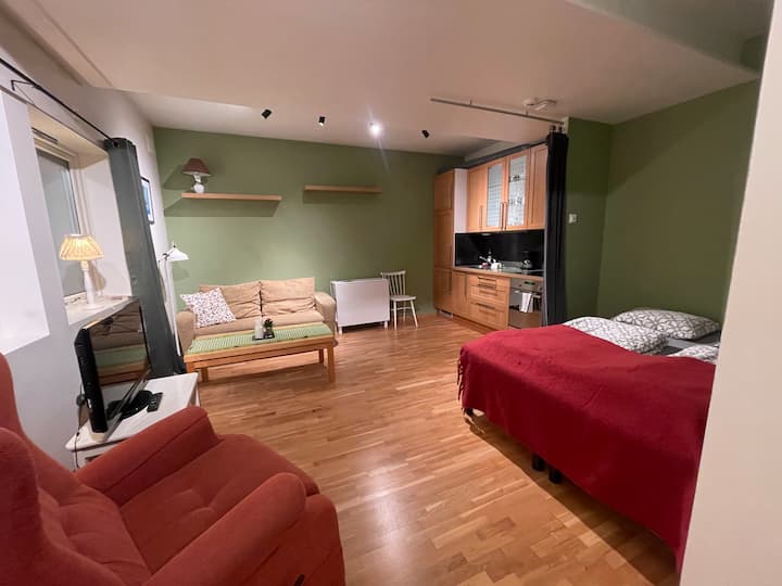 Moderne Studio Med Egen Inngang Og Parkering. - Alta