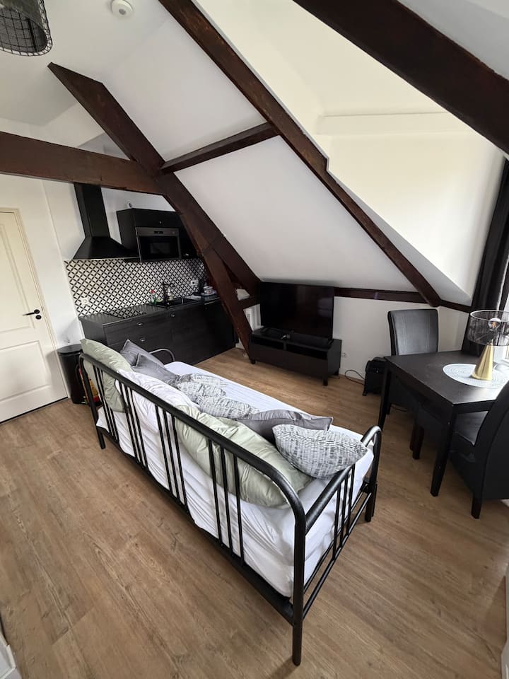 App Nr.6-1 Bedroom Apartment With Kitchen. - Rotterdam