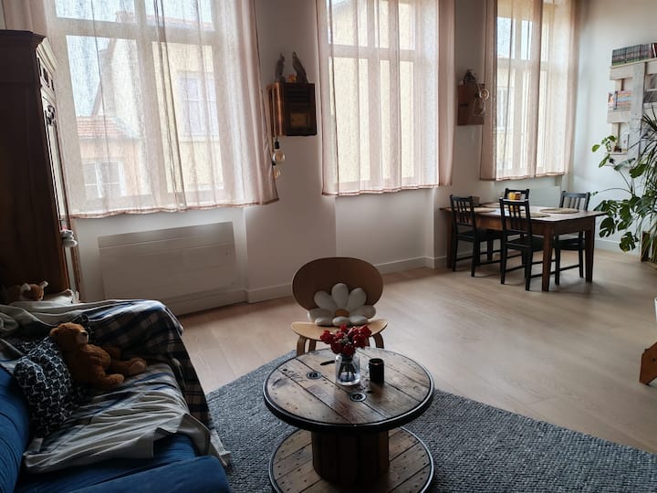 Lyon Croix Rousse: Superbe Canut Duplex - Lyon