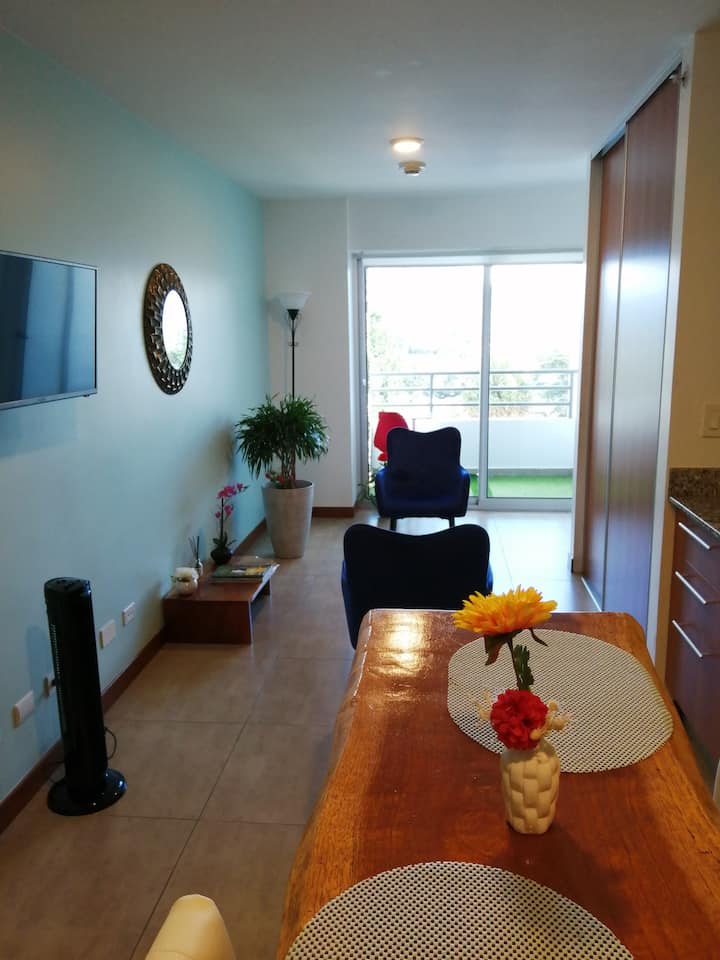 Hermosa Torre. Escalante. Los Yoses. Con Parqueo - San José