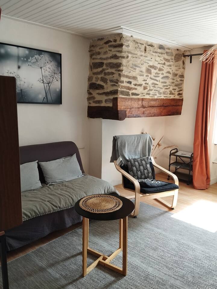 Charmant Appartement De Village - Chaudes-Aigues