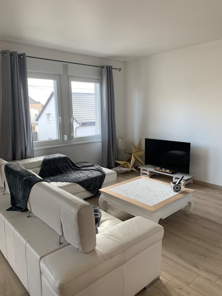 Appartement 3 Pièces Dans Une Maison à Lingolsheim - ibis Strasbourg Aéroport Le Zénith