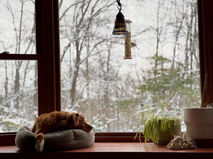 Relaxed Country Home Hikes&gunks&bluecliff - Ellenville, NY