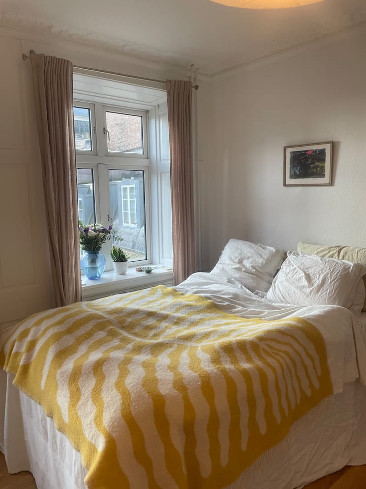 Charmerende Og Rummelig Vesterbro-lejlighed - Copenhagen