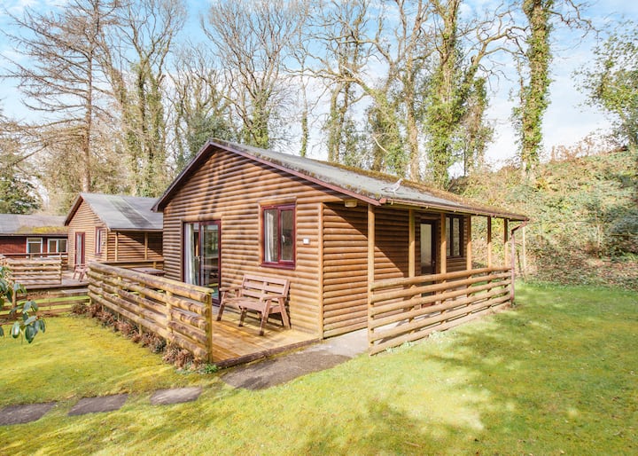 Larches Lodge - Bodmin
