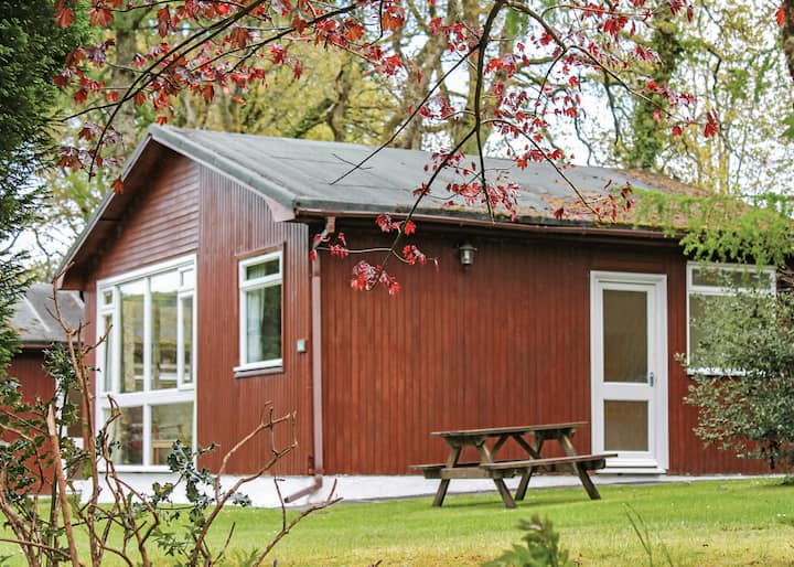 Maple Bungalow - Bodmin