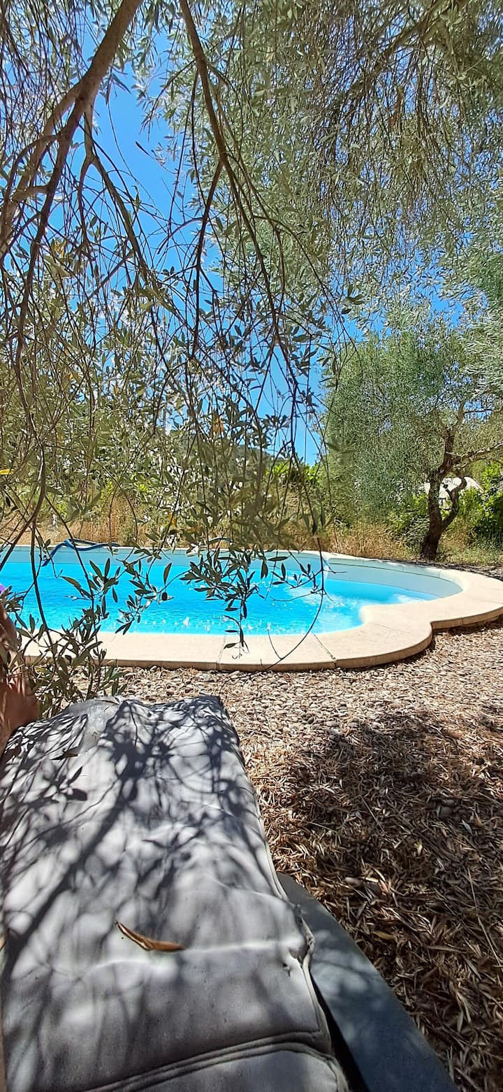 Maison Zen+piscine-20 Min De Cassis - Saint-Zacharie