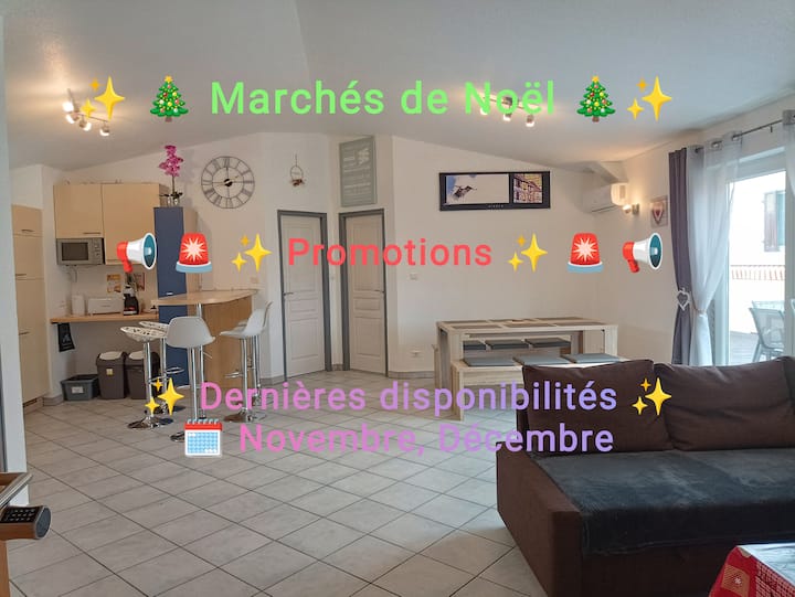 Spacieux F3 Au Calme Entre Colmar Et Mulhouse - Ensisheim