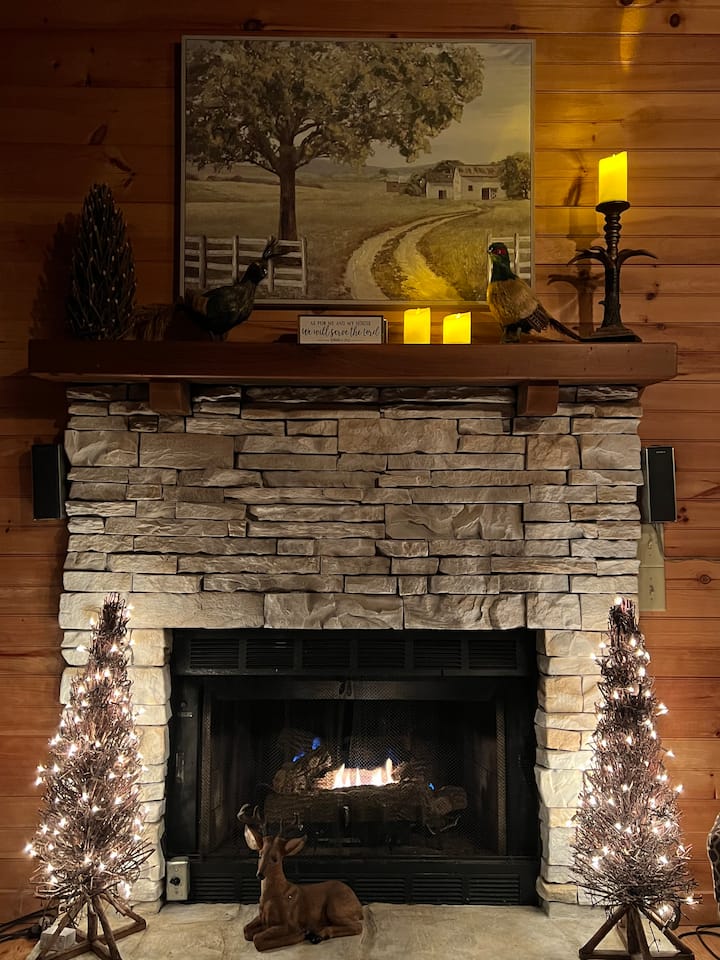 Mountain View Cabin Helen Georgia - Sautee Nacoochee, GA