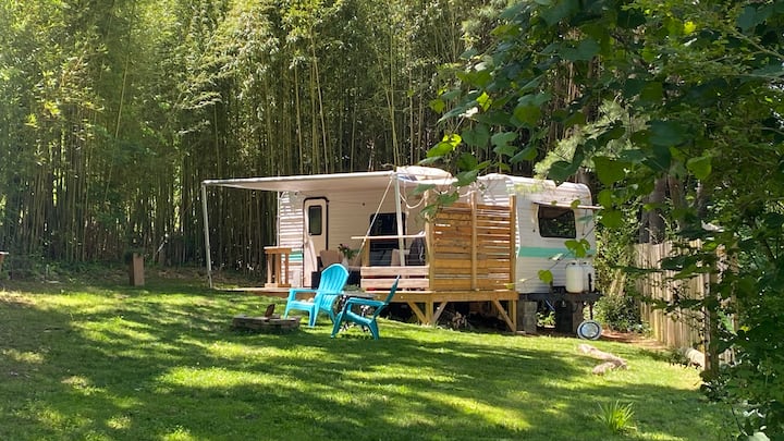 Vintage Camper Minutes From Downtown Asheville - Asheville, NC