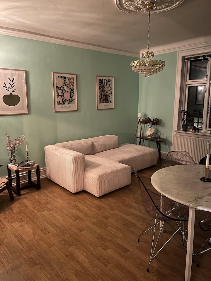 Cosy 1 Bedroom Apartment On Nørrebro. - Copenhaguen