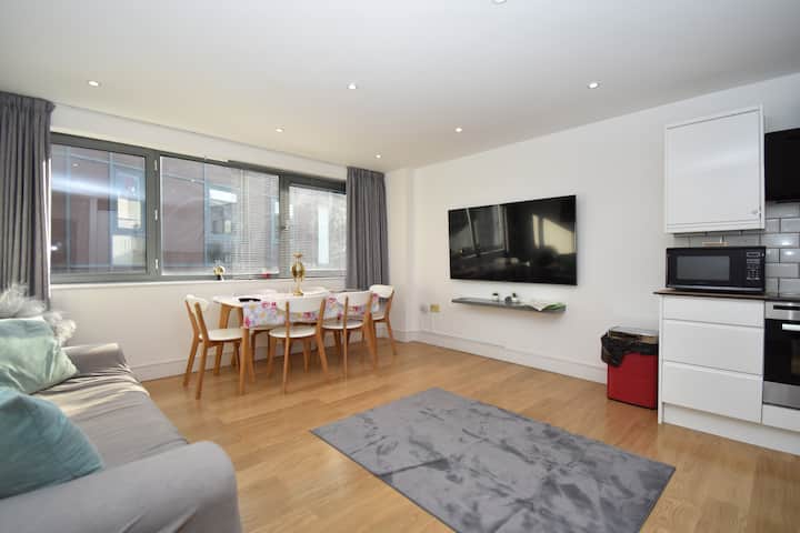 Modern 2 Bed/2 Bath Flat In London Bridge! - London