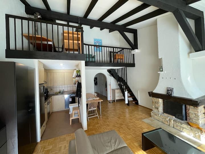 Agréable Chambre Près Du Centre De Zurich - Zúrich
