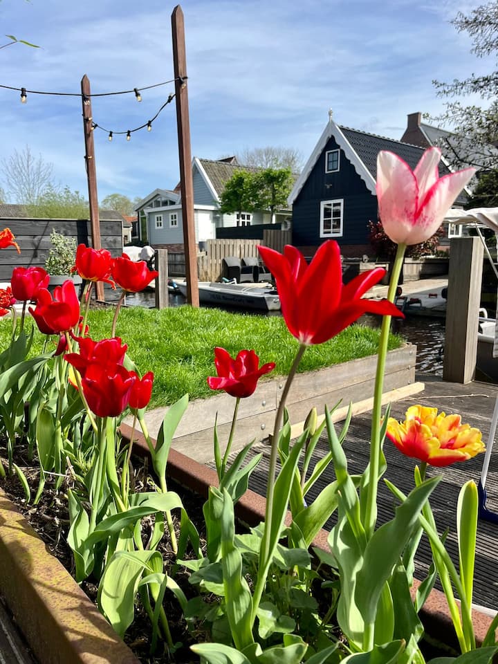 Cozy Appartment Near Amsterdam With Ac - Purmerend