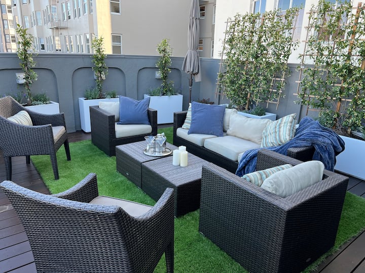 Pacific Heights View Penthouse With Terrace - San Francisco, CA