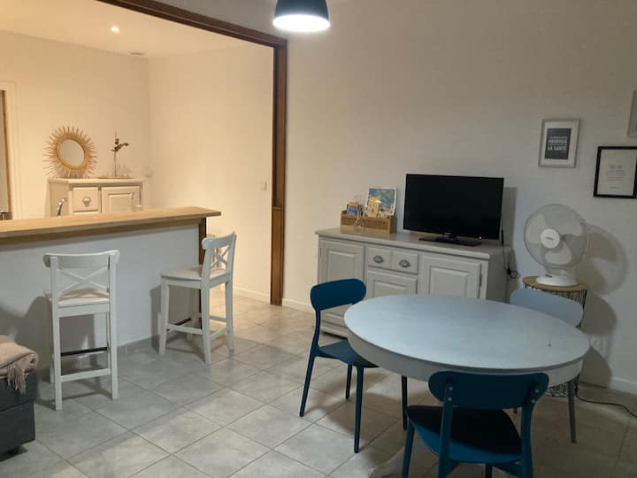 Le Patio Des Volets Verts - Anatole District - Narbona