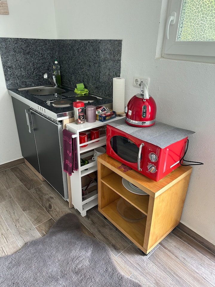 Cozy Guest Apartment With Garden View - Munich