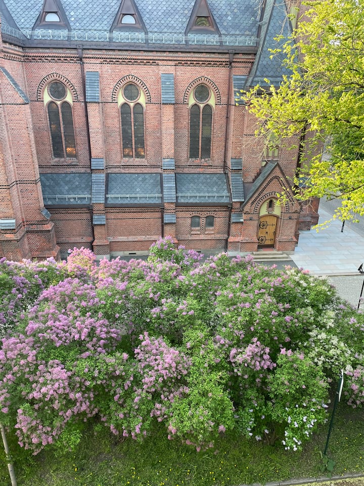 Paulus Plass - Oslo