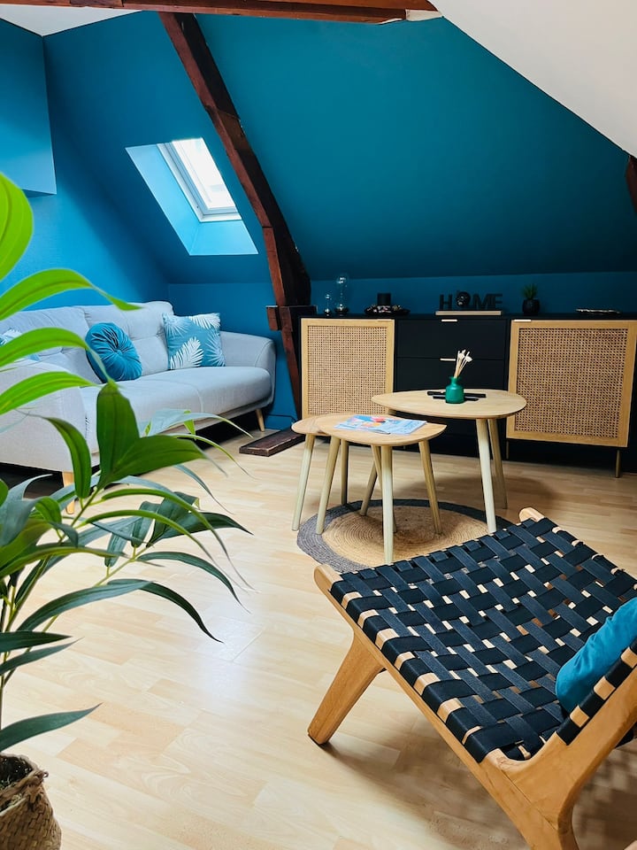 Le Cocon Bleu. T3 Hypercentre Angers - Angers