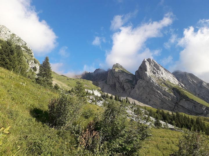 Agréable Rez De Jardin - Le Chinaillon