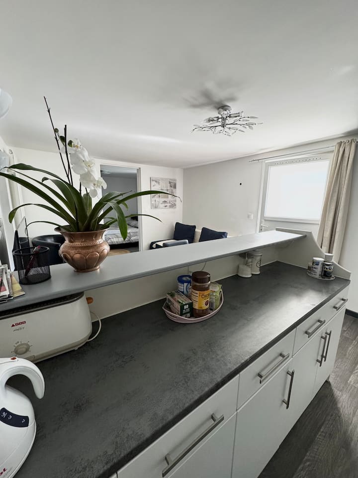 Appartement Jeune Esprit - 안시
