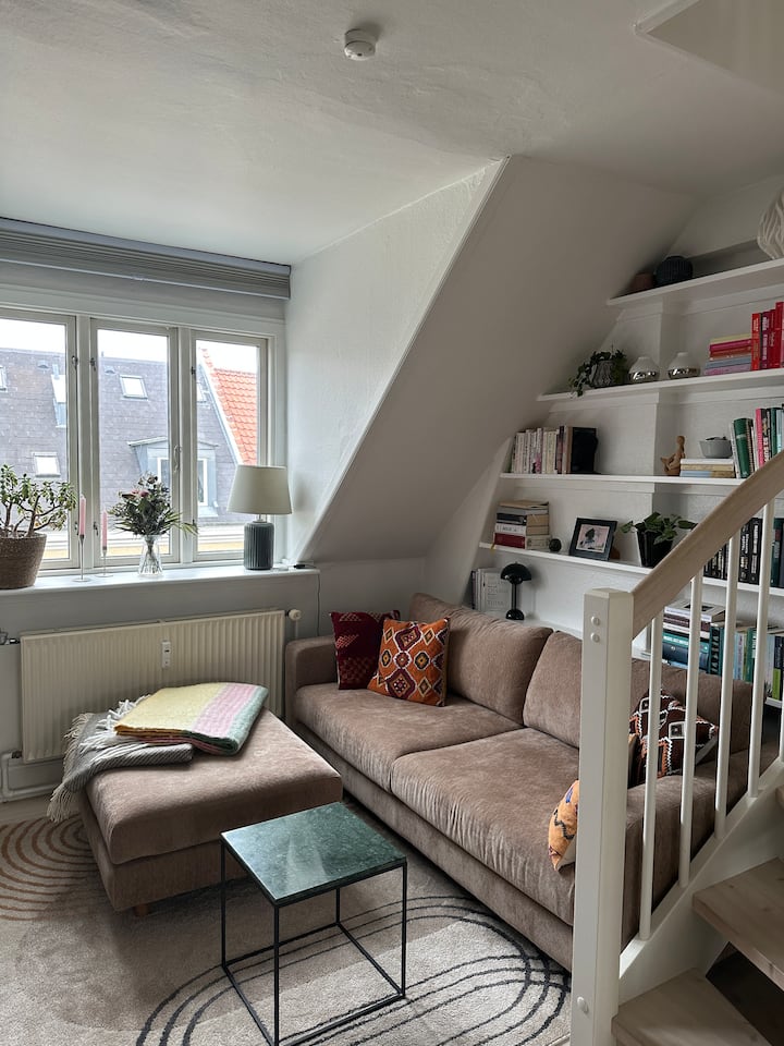 Cosy Apartment Walking Distance To Cph Center - Copenhagen