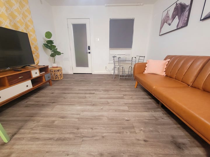 Walk To The Pearl! Private Backyard For Pets! - San Antonio, TX