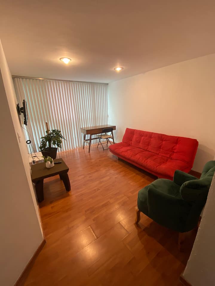 Cómodo Y Práctico Para Familia Visitando La Ciudad - Mexico City