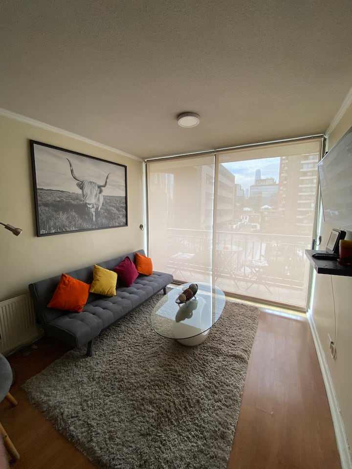 Departamento 2 Huéspedes Providencia, Santiago - Providencia