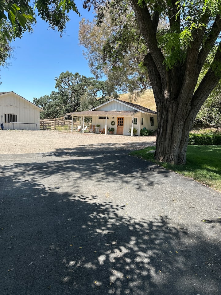 Between Ballard And Los Olivos In Wine Country - Los Olivos, CA