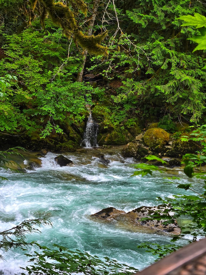 Cascade River Cabin-riverfront, Wood-fired Hot Tub - Cyclone Lake, WA
