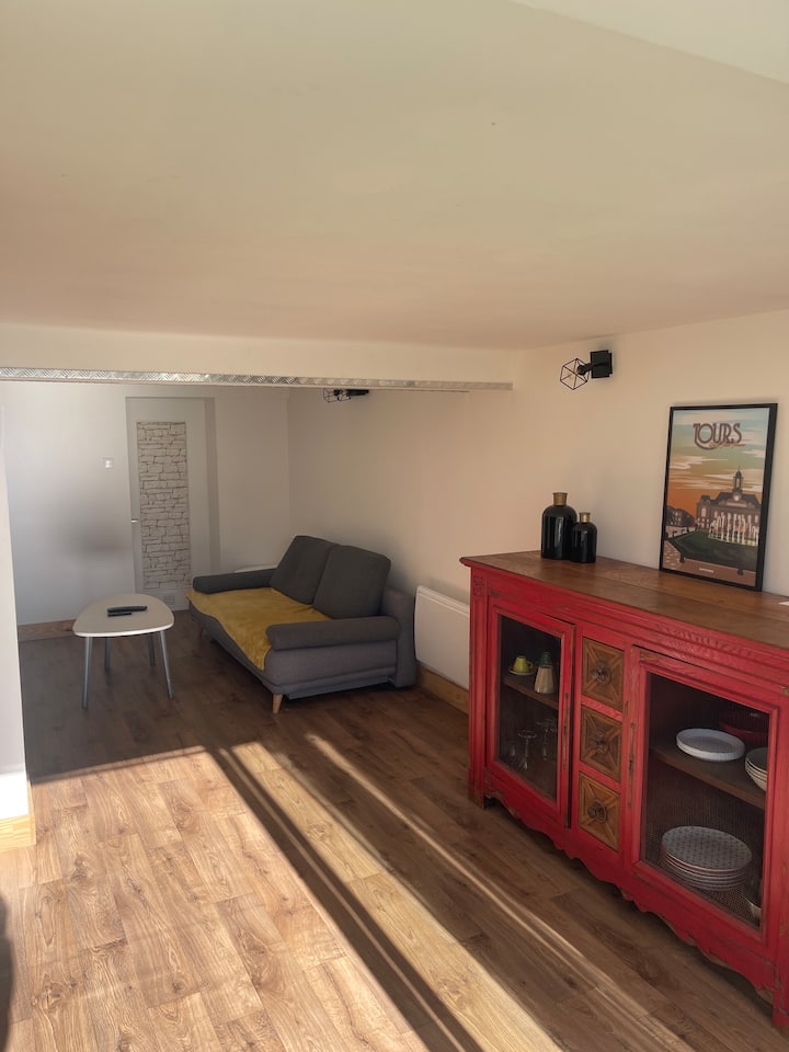 Appartement Atypique Proche Tours Centre - Tours
