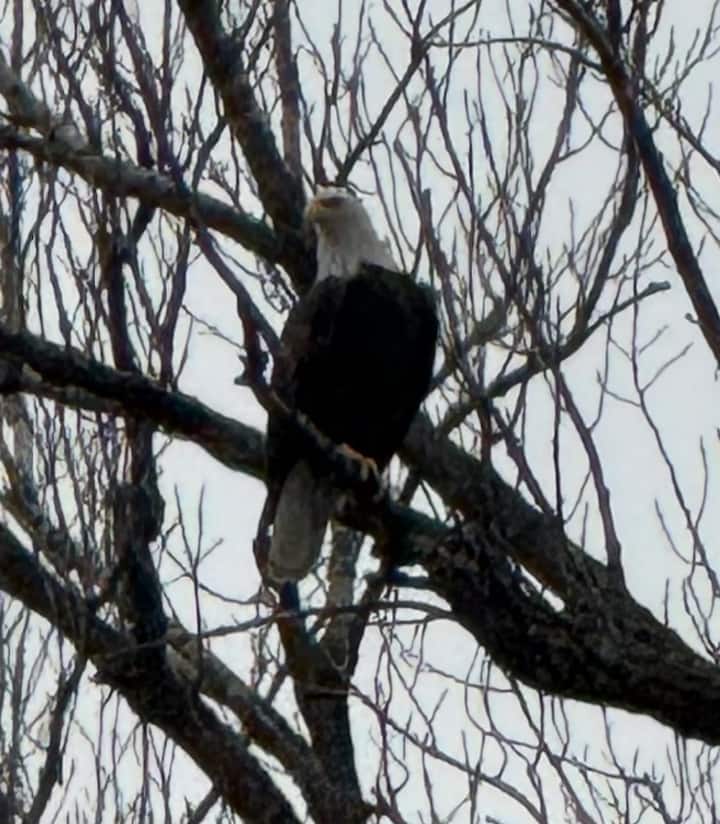 Working Cattle Farm 
Circle Driveway - Grindstone Lake, Osborn
