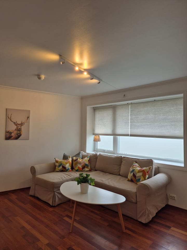 Koselig Leilighet På Danmarksplass - Aéroport de Bergen (BGO)