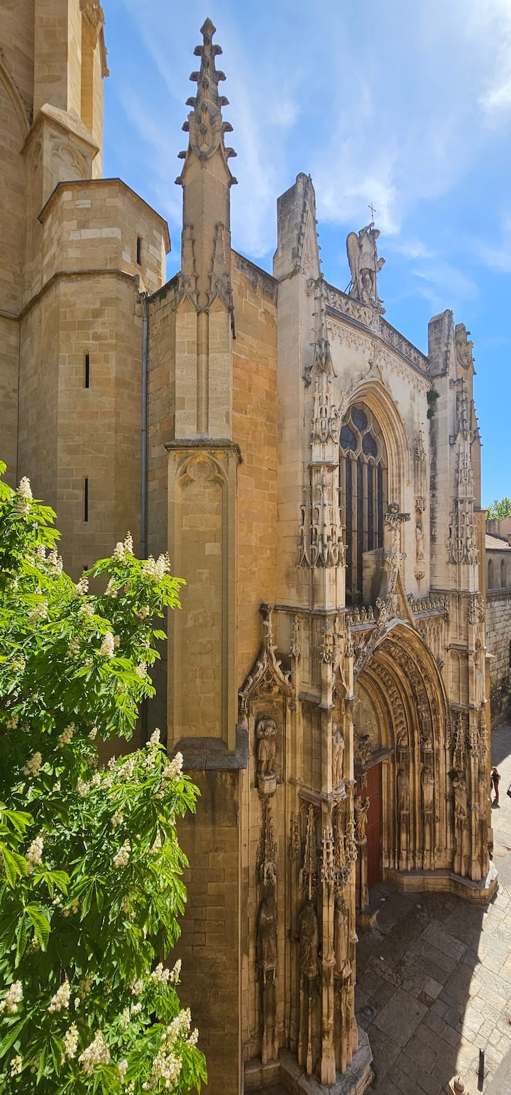Vue Cathédrale Centre Historique Lumineux & Calme - Aix-en-Provence
