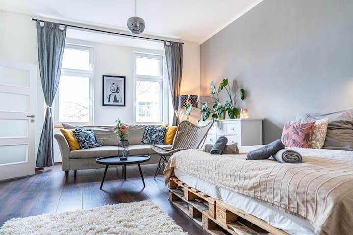 Friendly Apartment In Prague - Praga