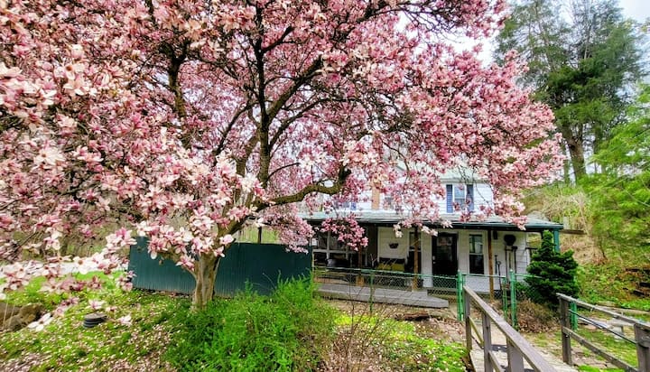 Farm|nearohiouniversitysports|petfriendly|lgcocina - Athens, OH