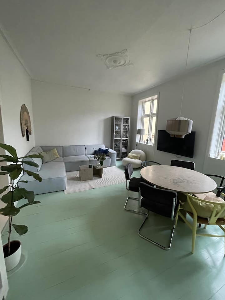 Skøn Lejlighed I Midten Af Frederiksberg - Copenhaguen